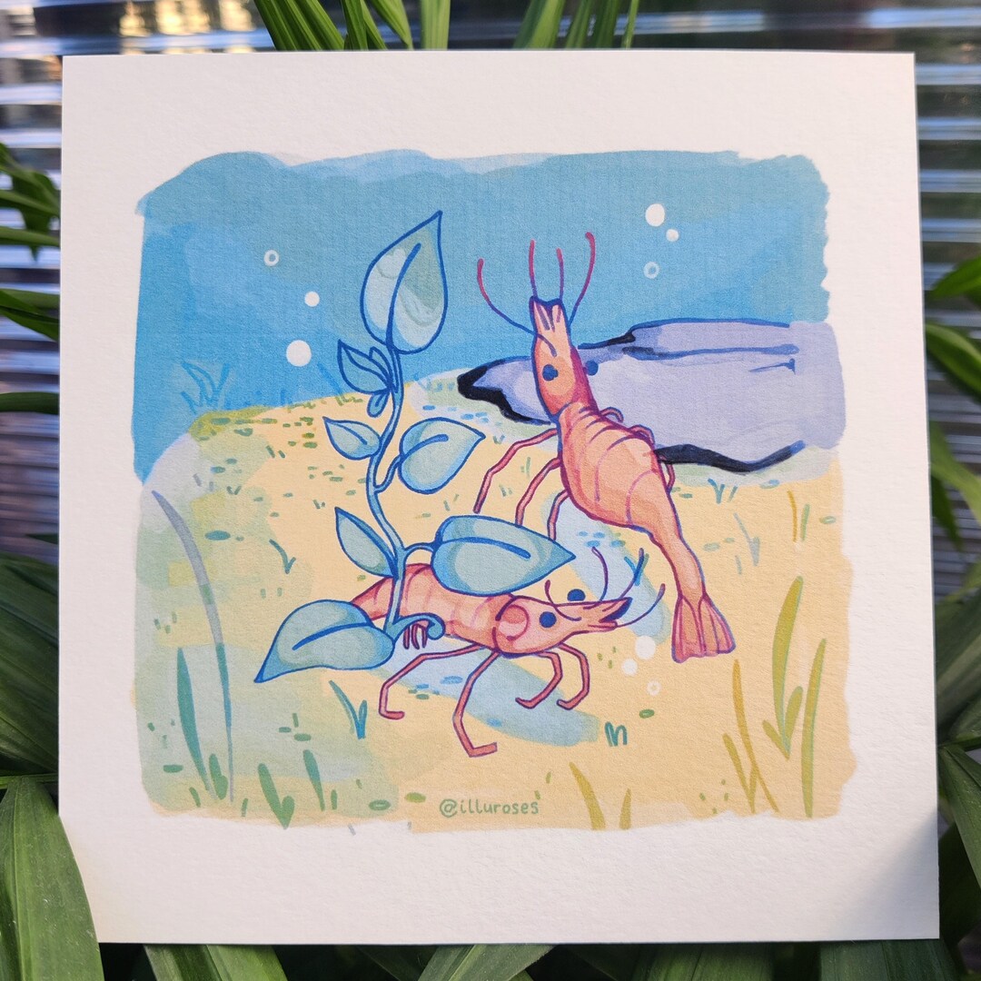 A5 SQUARE PRINT, Silly Shrimp Art Print Decor Gift, Original, Meme ...