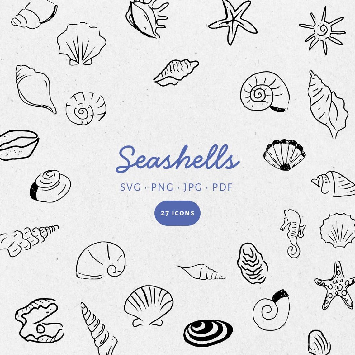 Hand Drawn Sea Shells Illustration Bundle Set, SVG PNG JPG, Icon Black ...