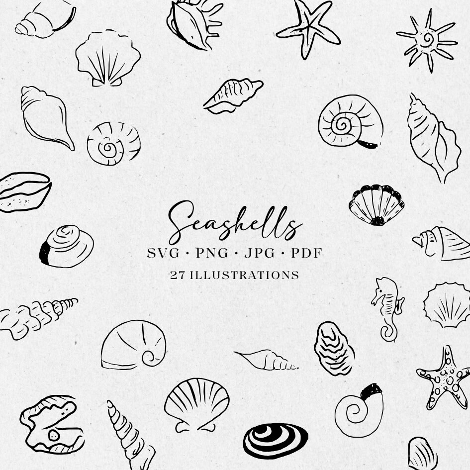 Hand Drawn Sea Shells Illustration Bundle Set, SVG PNG JPG, Icon Black ...