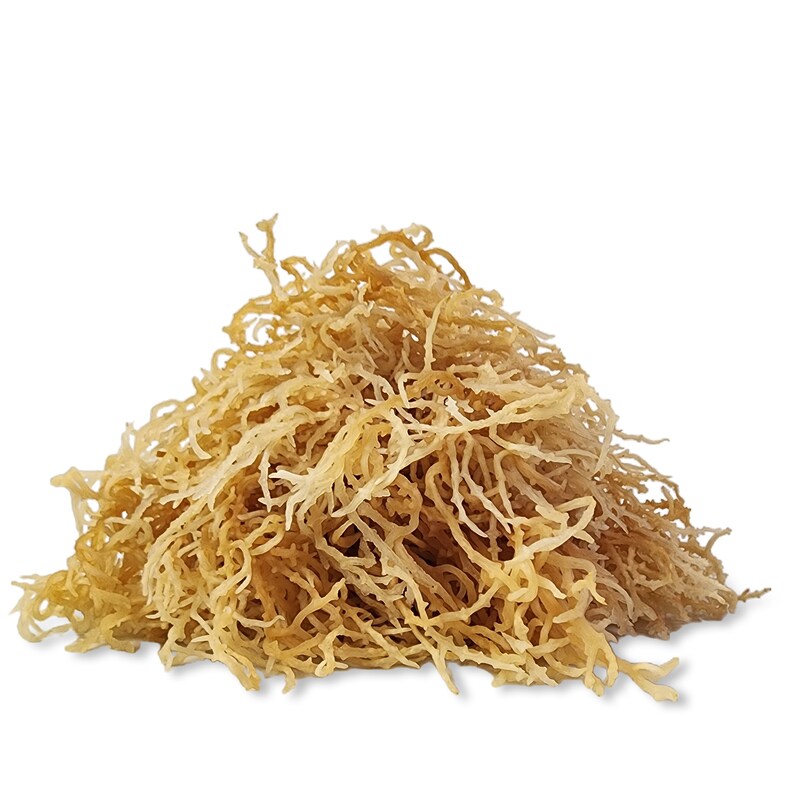 Dry Sea Moss 7 Oz Bag, Great to Make Three 32oz Jars of Sea Moss Gel ...