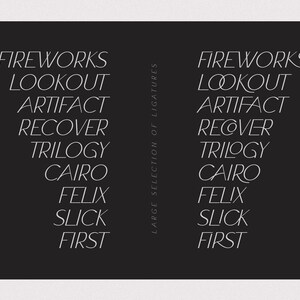 Claro Elegant Font Family / Modern Ligature Font - Etsy