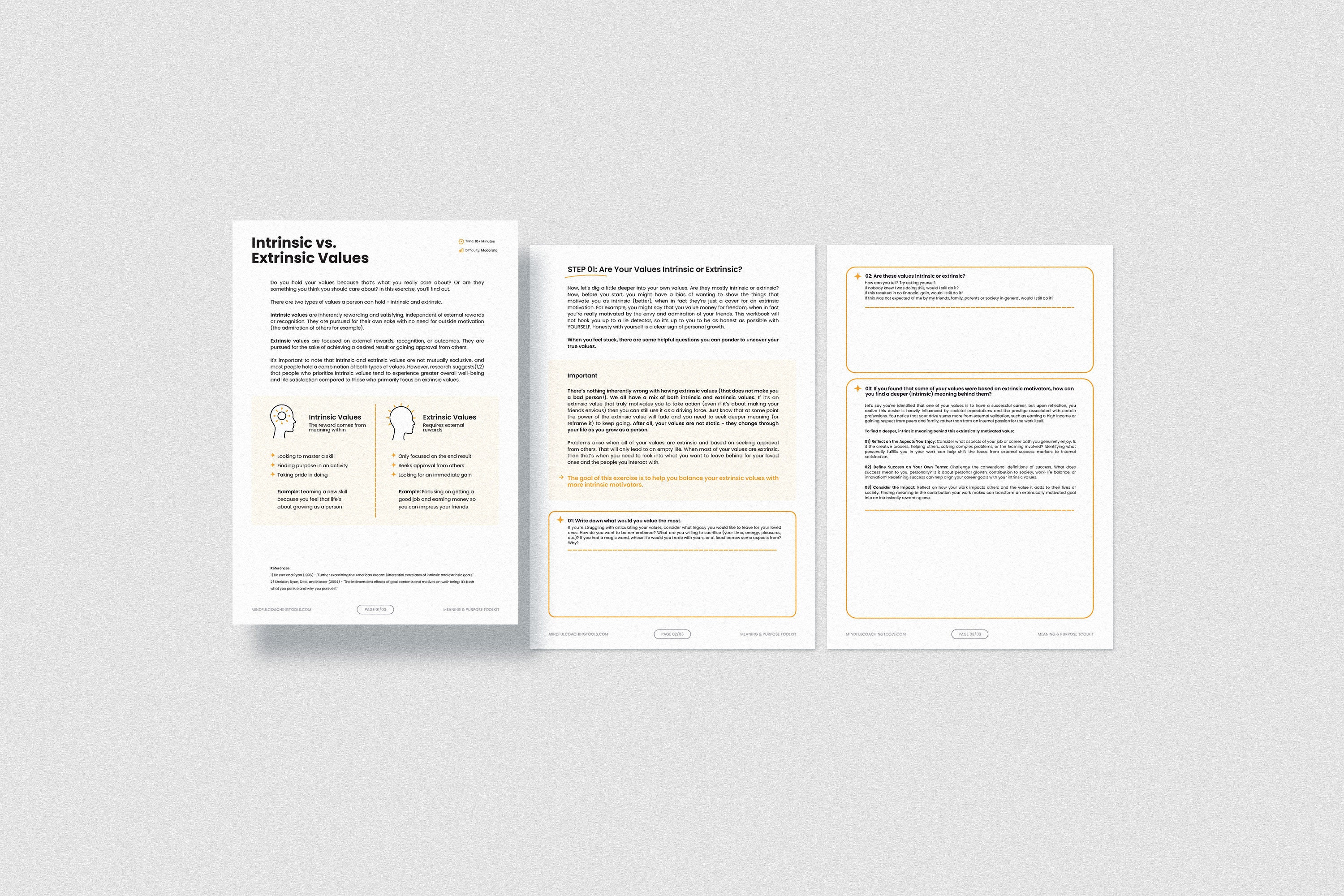 Purpose and Meaning Toolkit / Editable Coaching Tools and Exercises ...