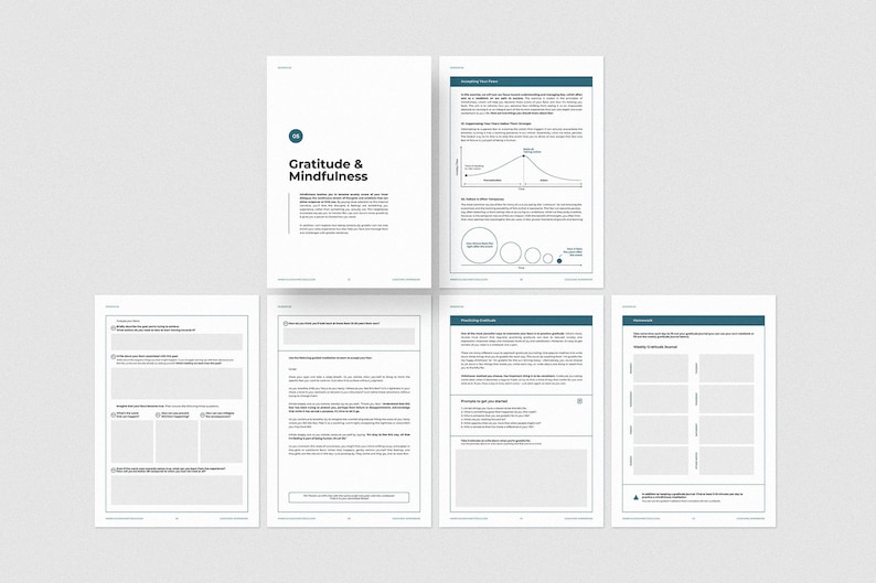 6 Session Coaching Workbook - Etsy