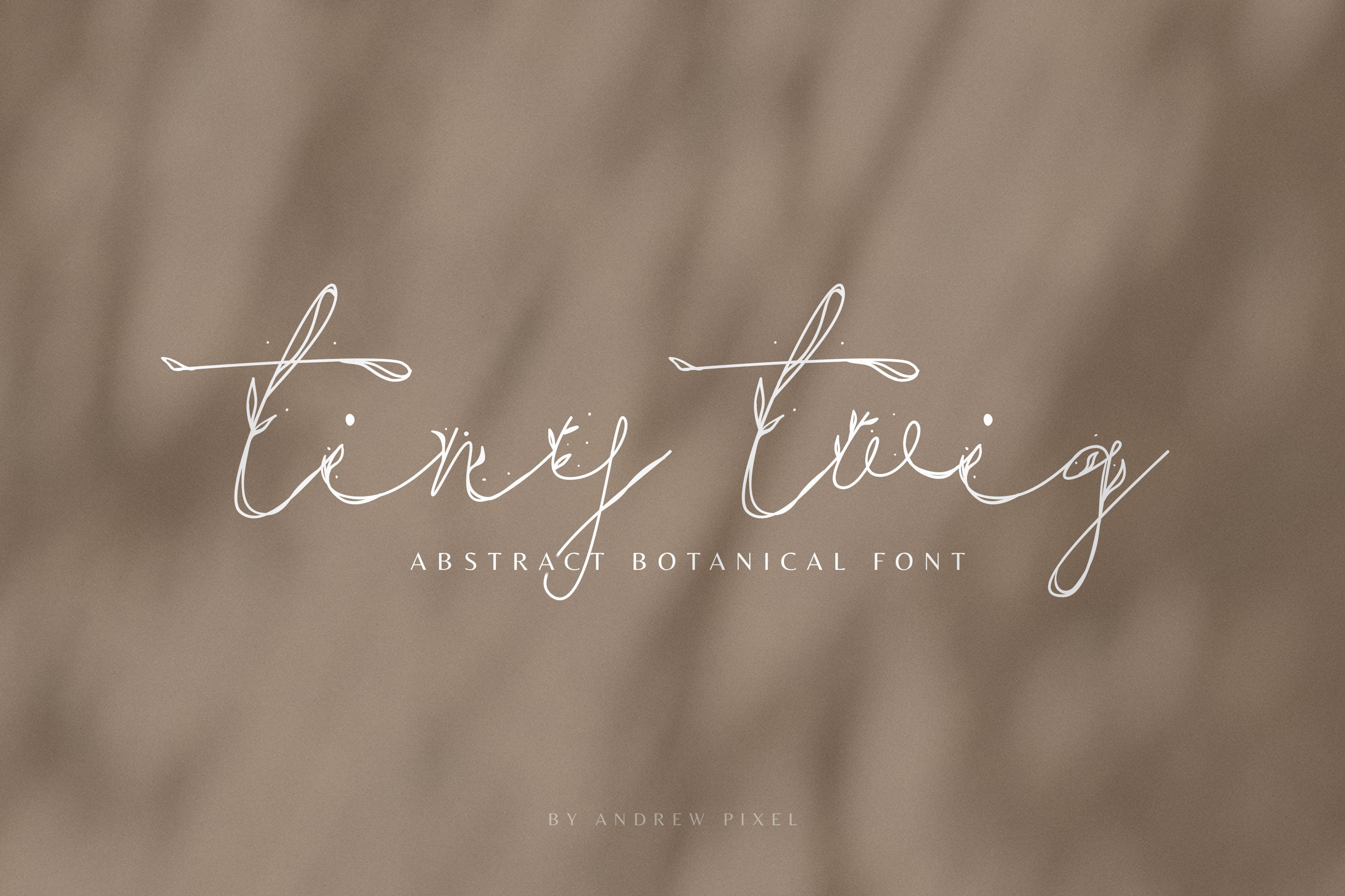 Tiny Twig Botanical Display Font With Elegant Handdrawn - Etsy
