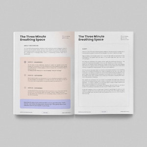 Mindfulness Worksheet Bundle - Editable Coaching Tools and Exercises ...