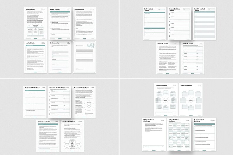 Gratitude Journal & Worksheets , Editable Coaching Tools, Fillable ...