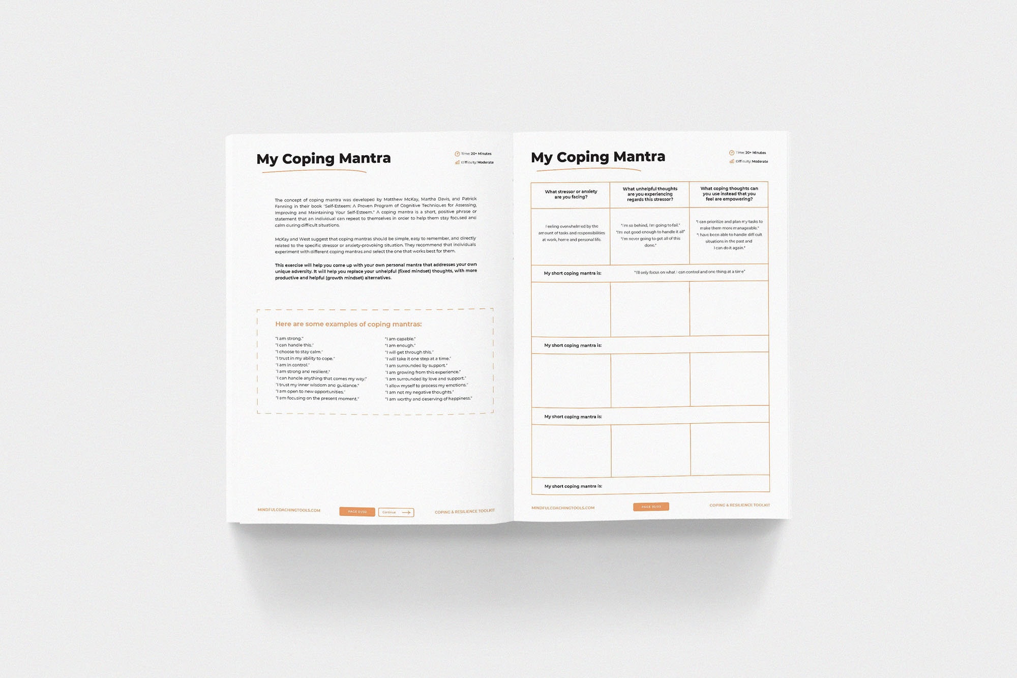 Coping and Resilience Toolkit / Editable Coaching Tools and Exercises ...