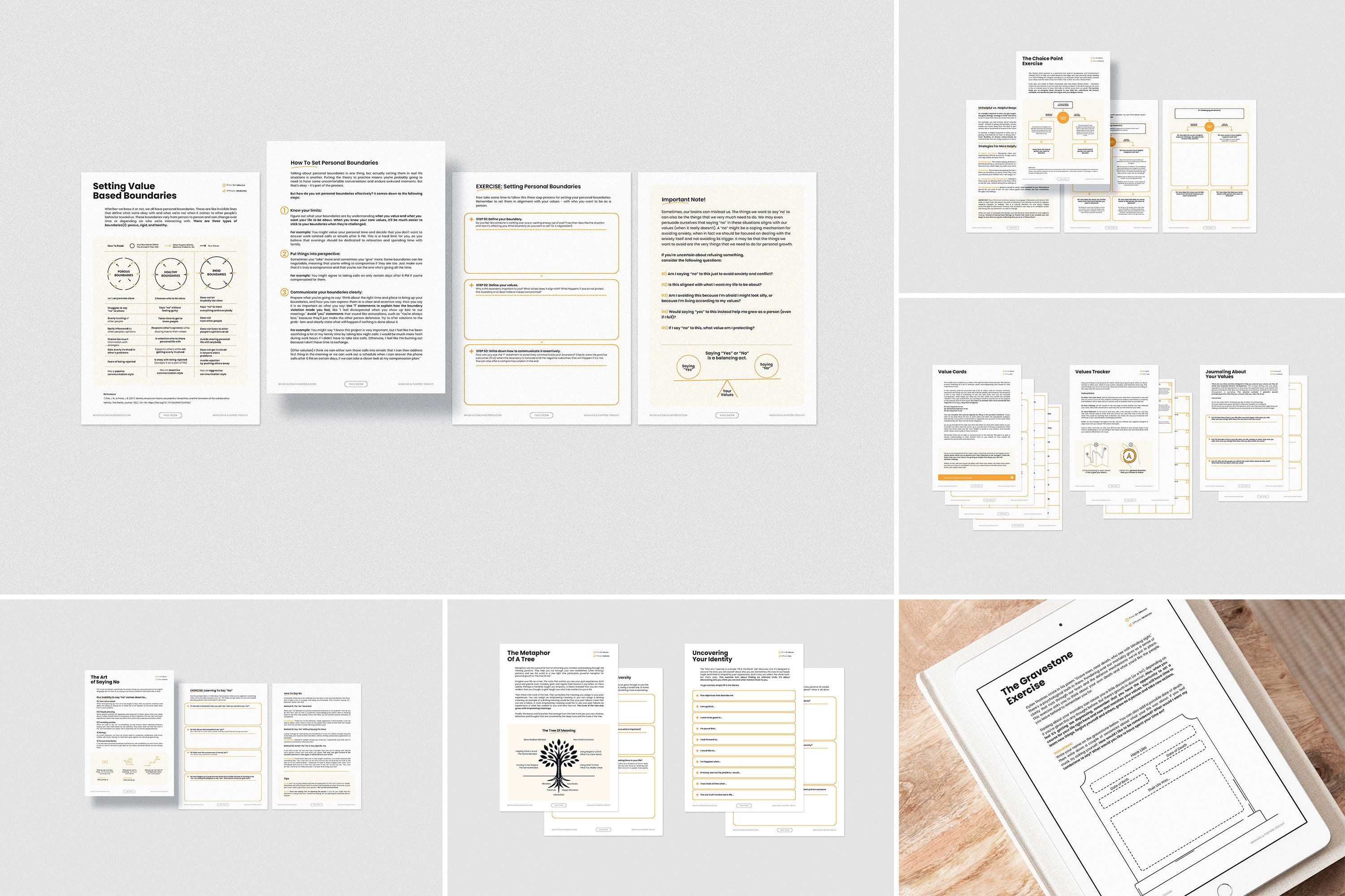 Purpose and Meaning Toolkit / Editable Coaching Tools and Exercises ...