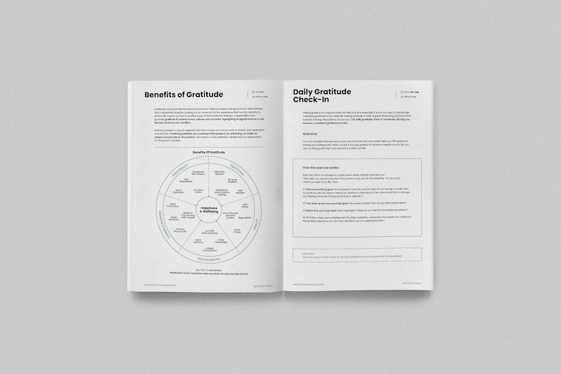 Gratitude Journal & Worksheets , Editable Coaching Tools, Fillable ...