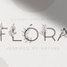 Galileo Galilei Serif & Script Duo - Etsy