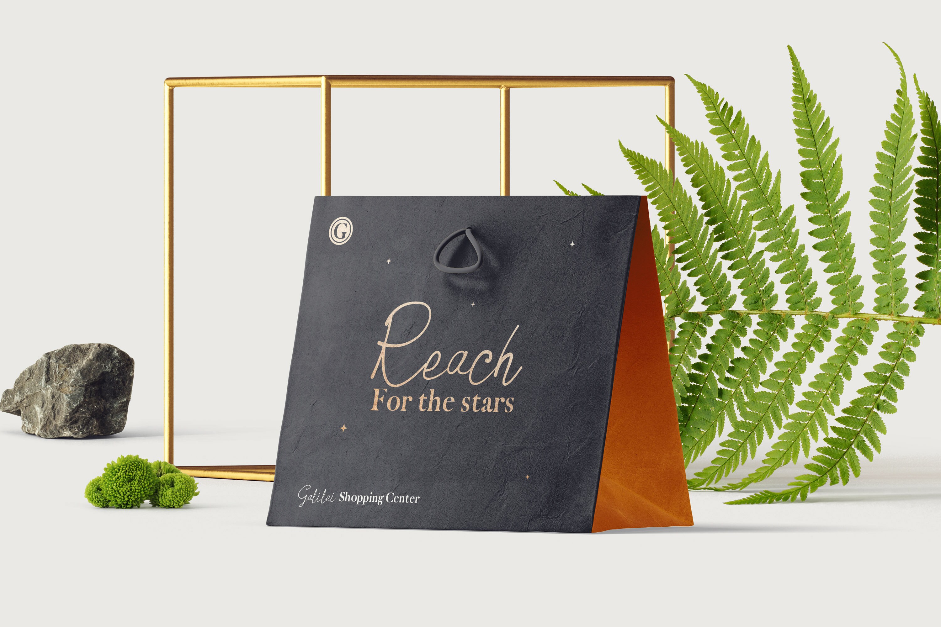 Galileo Galilei Serif & Script Duo - Etsy