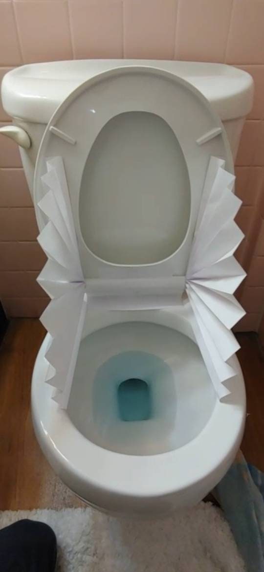 Potty Protector Disposable - Etsy