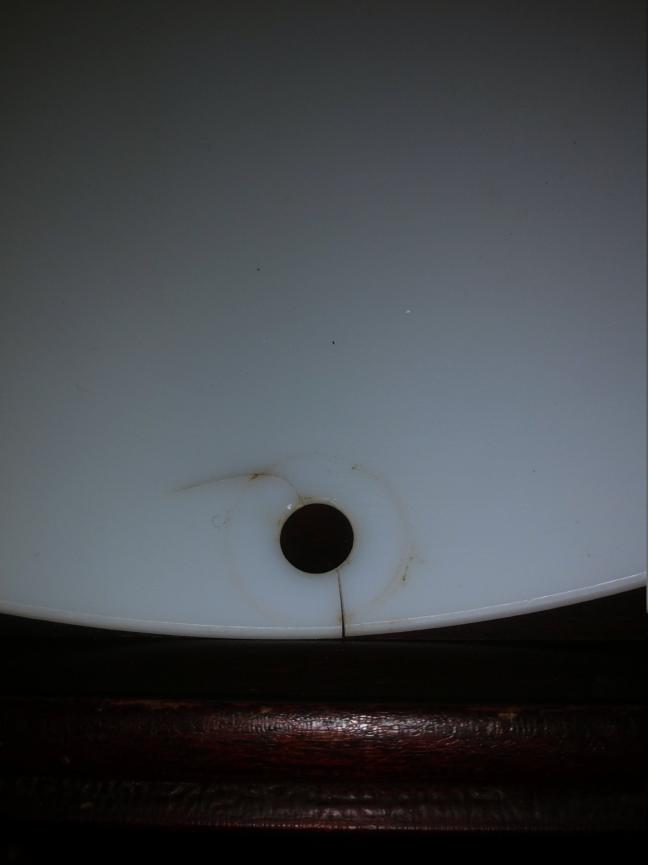 Extremely Rare Rougier Tulip Lamp /early Robert Rougier/lucite Petals ...