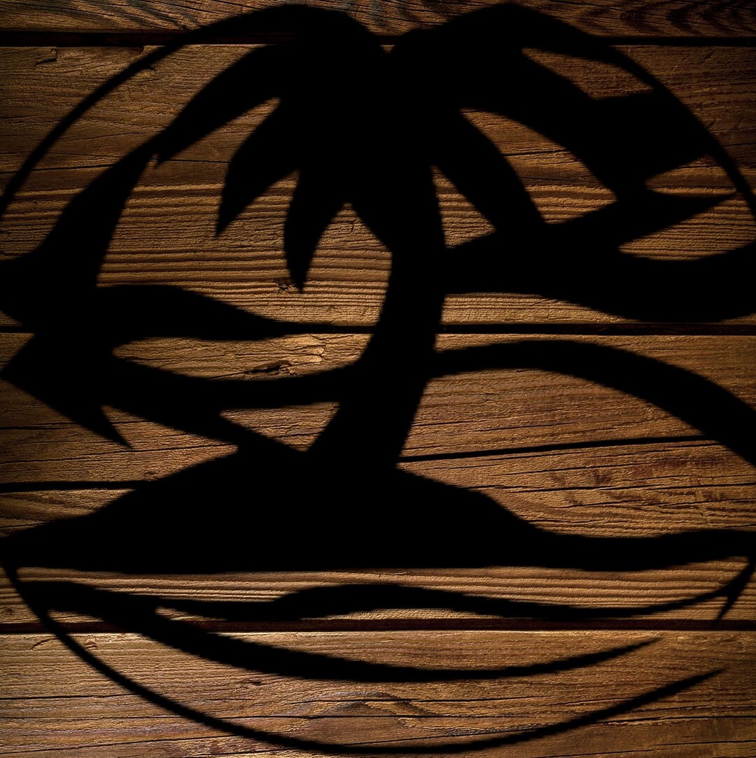 Tropical Twisted Palm Tree Sunset Beach. Clip Art. Physical - Etsy