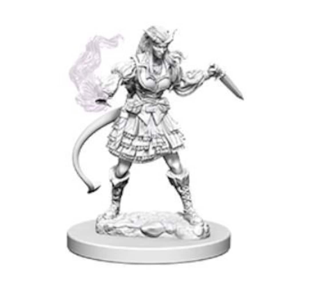 D&D Mini- Custom Hand Painted Mini- Custom RPG Miniature for Table Top ...