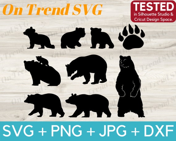 Bear SVG PNG JPG Cut Files | Etsy