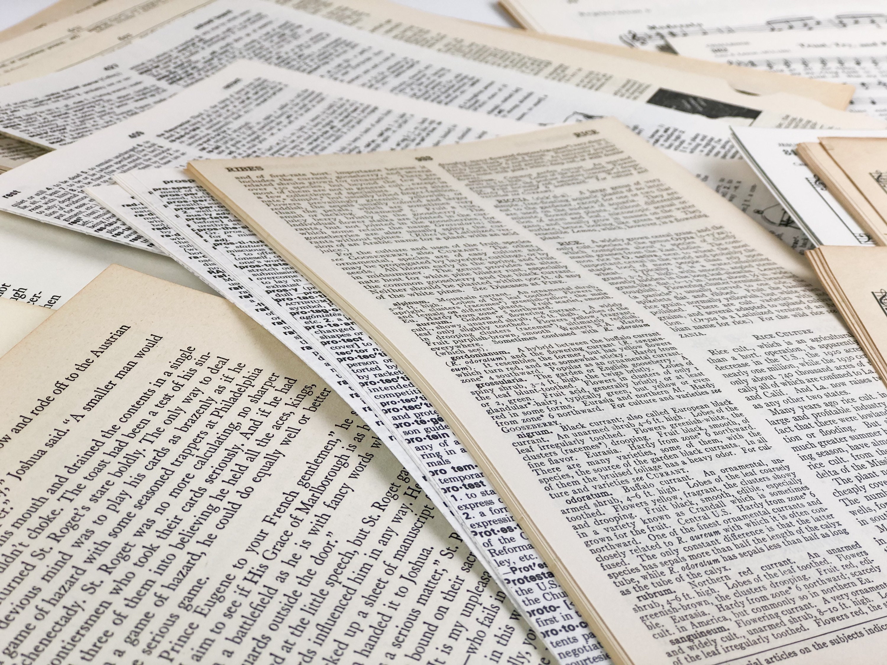 500 Combo Music Sheets Dictionary Pages and Typography | Etsy