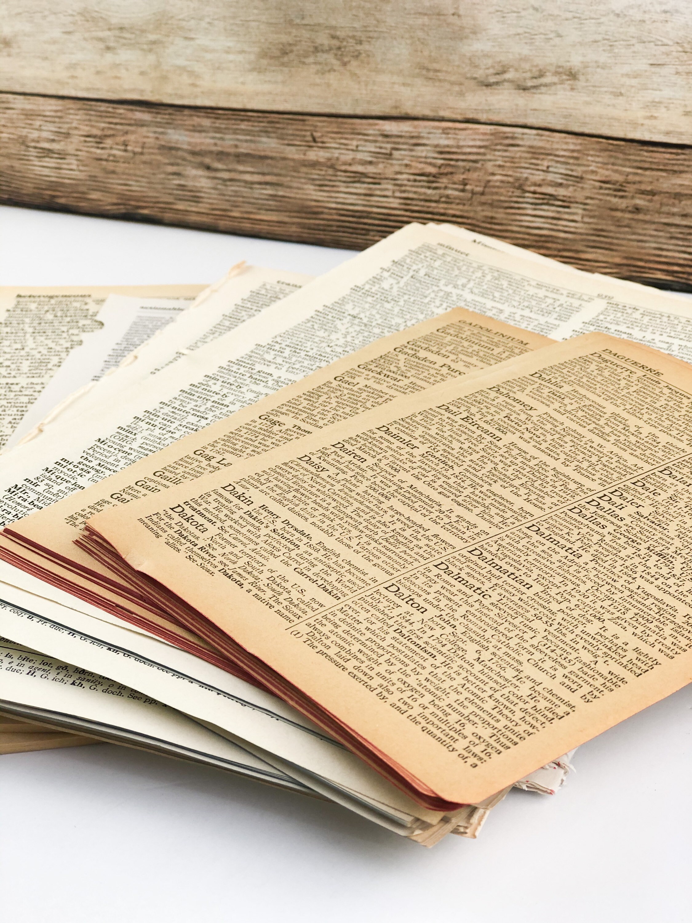 Dictionary Pages 500 Loose Dictionary Pages Vintage Book - Etsy