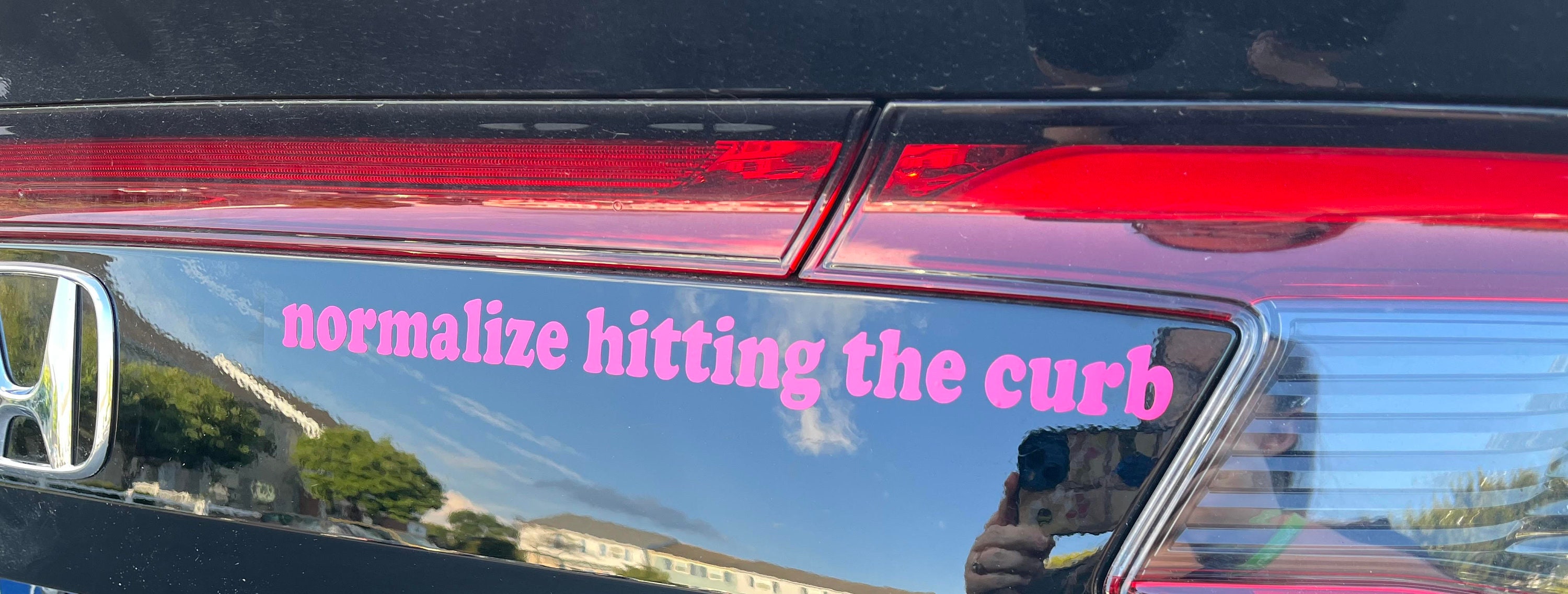 Normalize Hitting the Curb / Decal / Funny Decal / Drivers / - Etsy