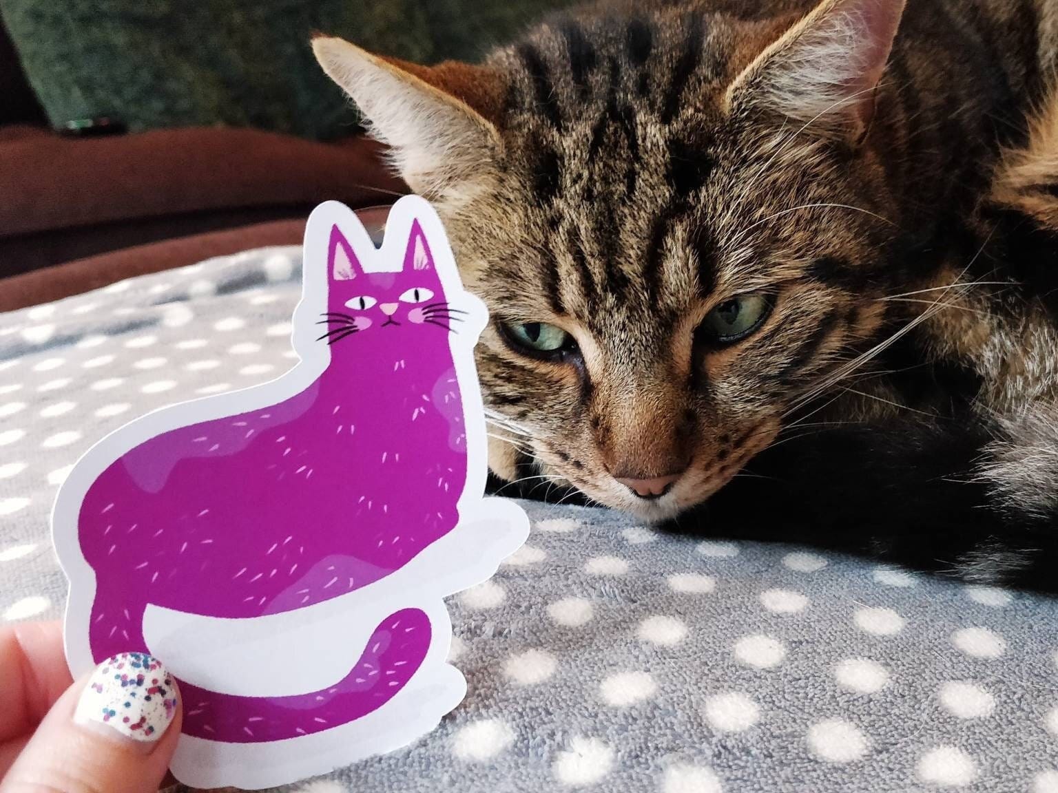 Hovercat Is Hovering