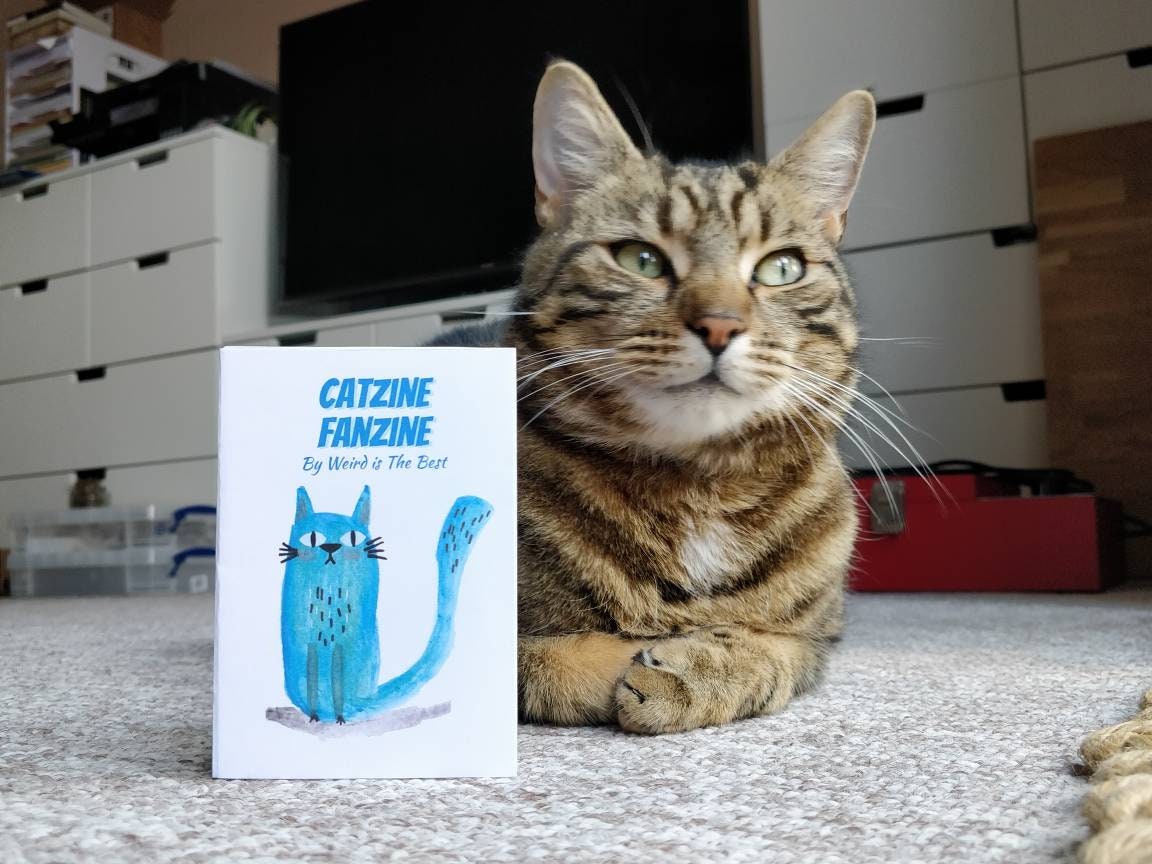 Catzine Fanzine A Fun Zine Full of Cats and Sass, Bundle of Meows - Etsy