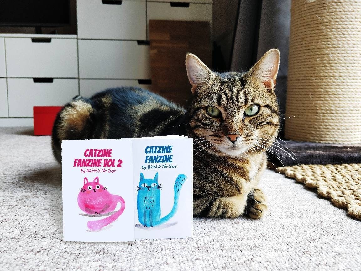 Catzine Fanzine A Fun Zine Full of Cats and Sass Zine Pack - Etsy