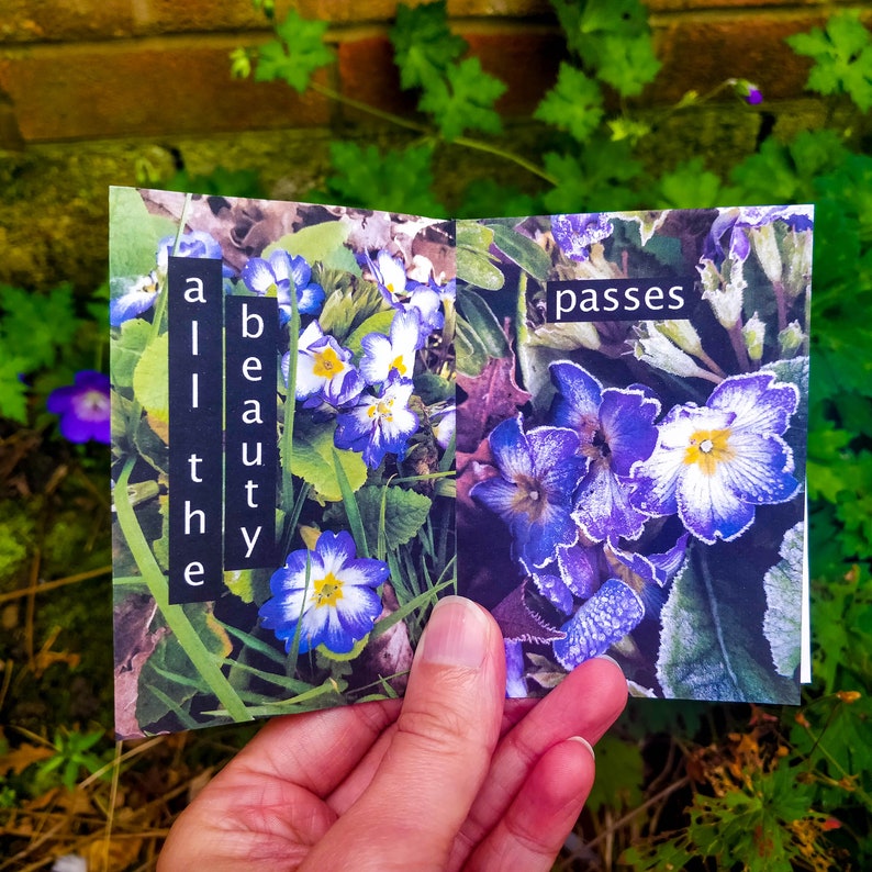 Garden Lifecycle - Winter Plants Positive Poetry, Mini Zine - Etsy