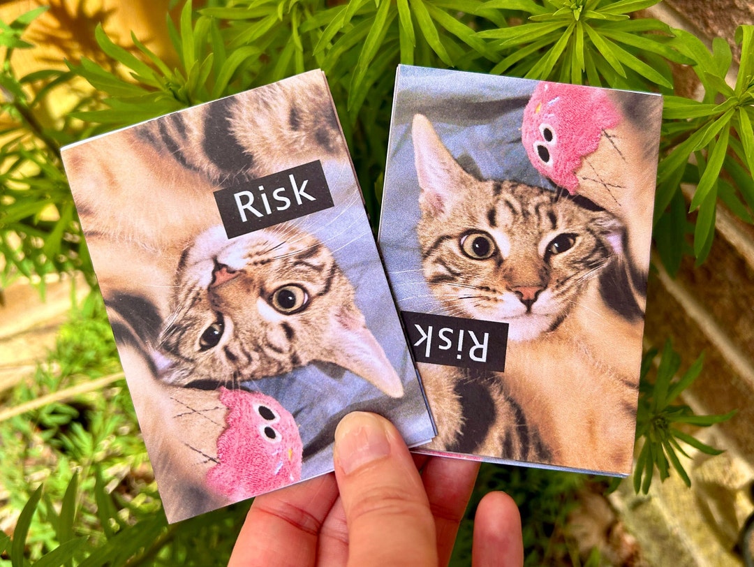 Cat Zine! Danger and Risk, Traditional Folded Mini Zine Full of Meows ...