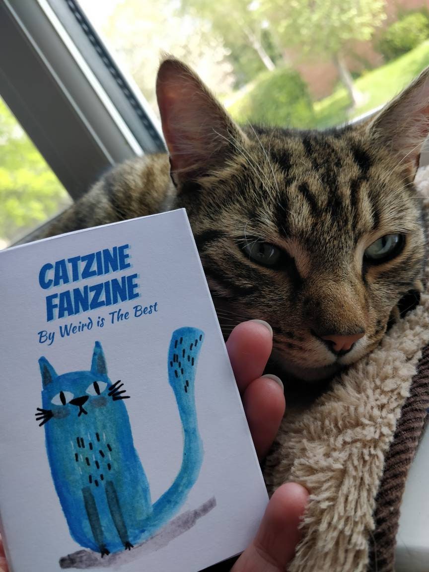 Catzine Fanzine A Fun Zine Full of Cats With Character A4 - Etsy UK