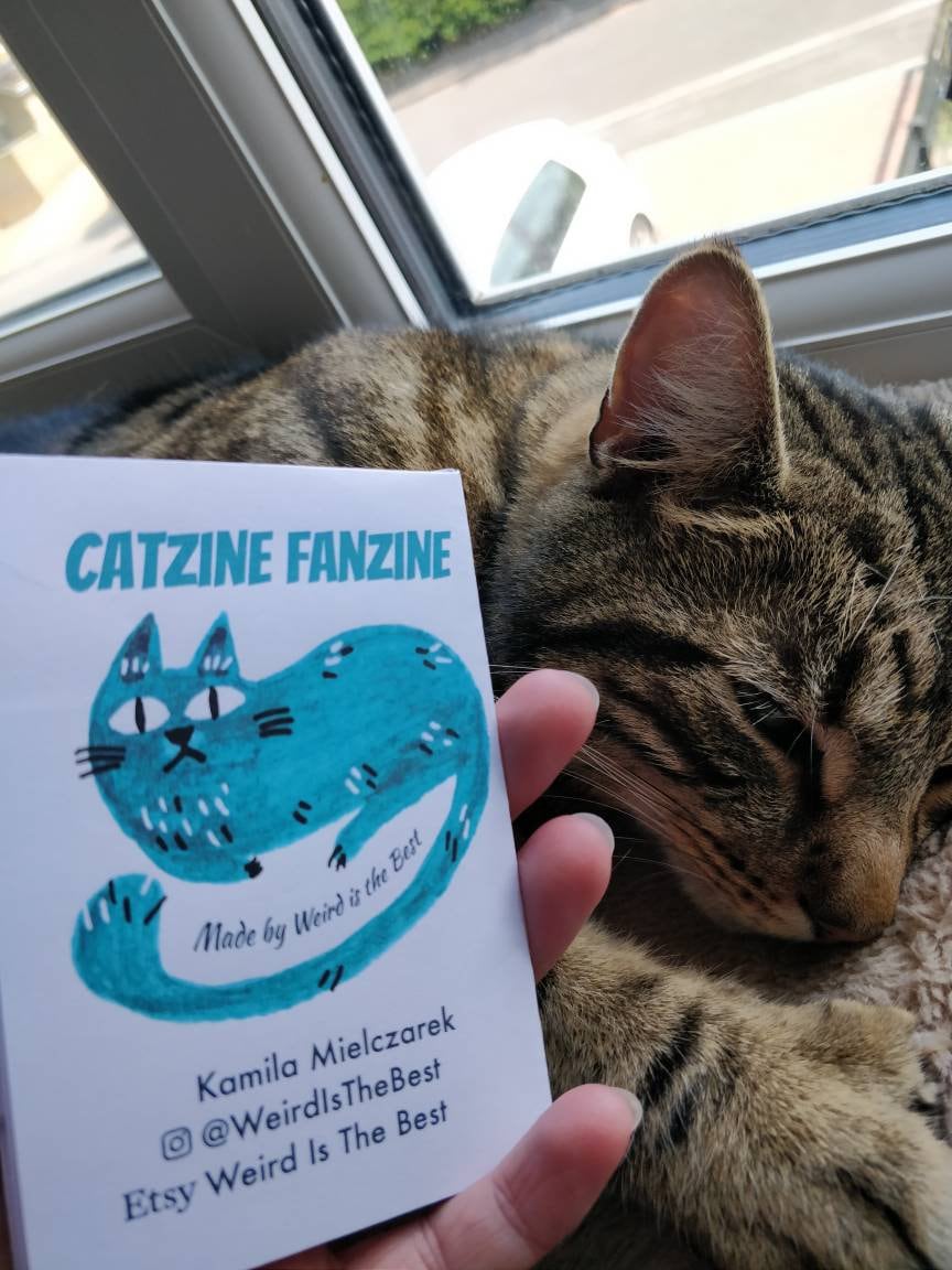 Catzine Fanzine A Fun Zine Full of Cats With Character A4 - Etsy UK