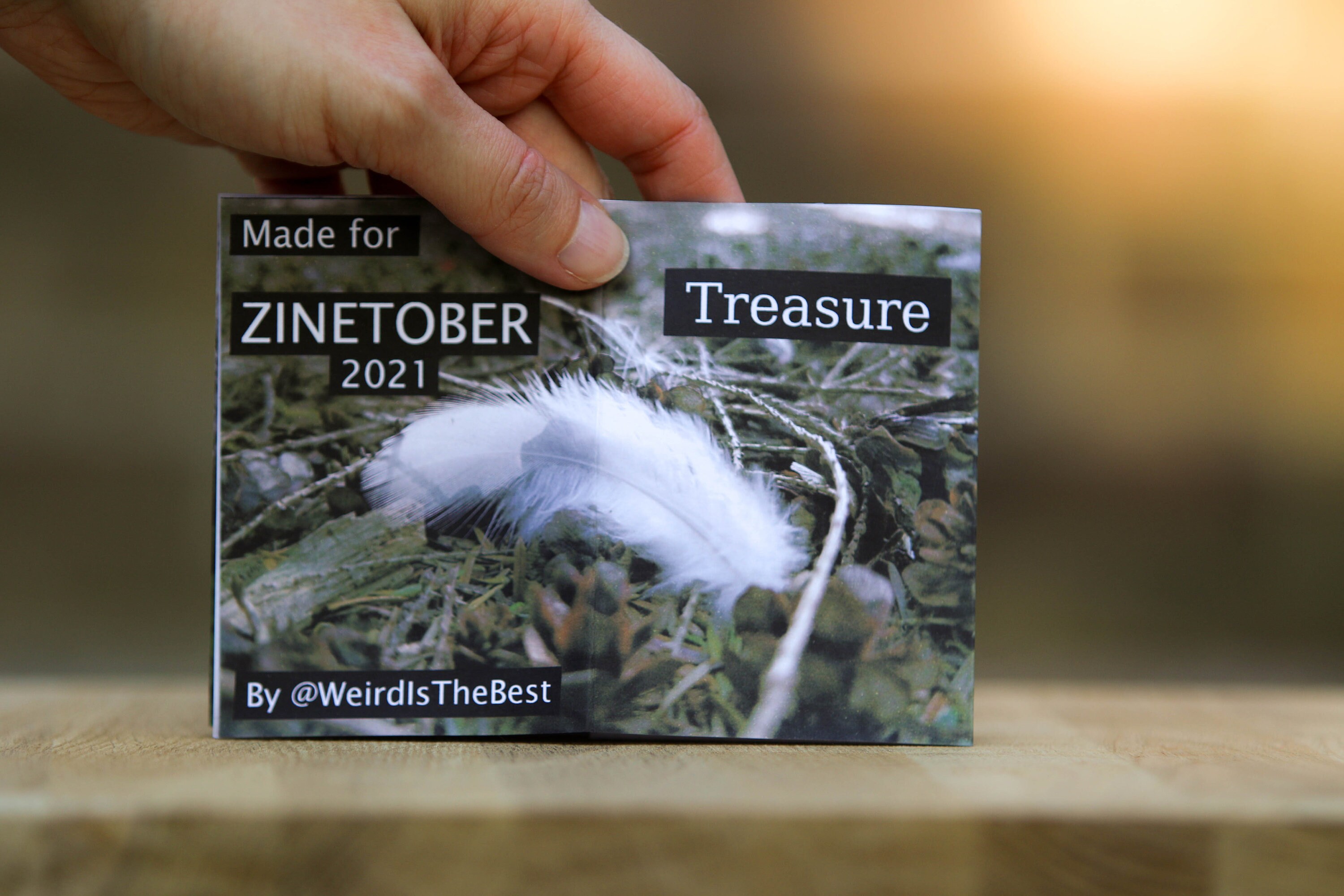 Treasure Positive Poetry Zine With Stunning Photography, Folded ...