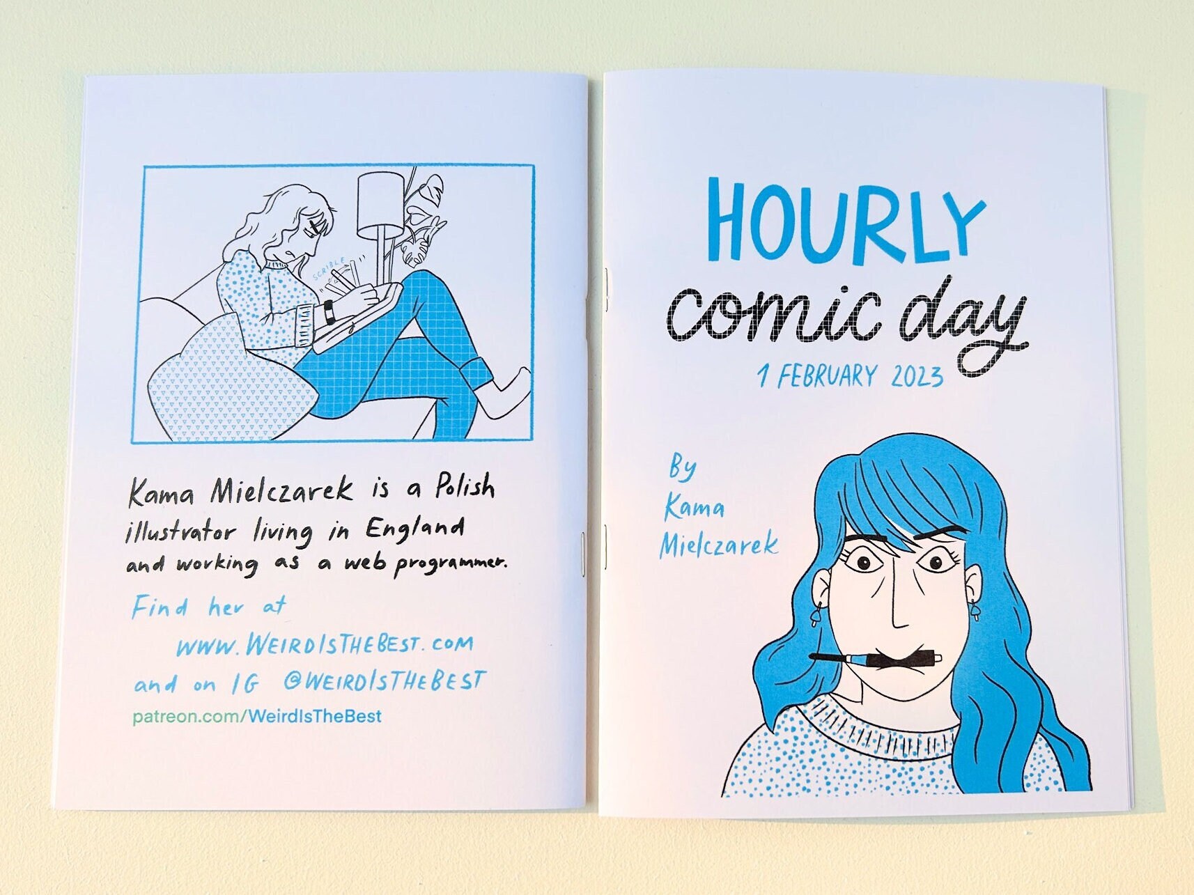 Hourly Comic 2023 Zine Autobiographical Diary Comic Book - Etsy