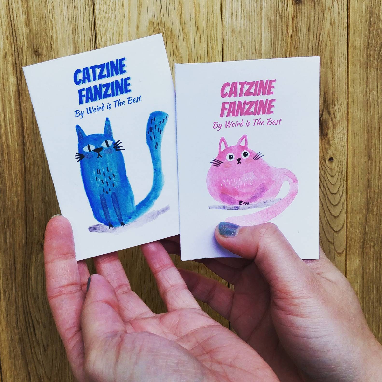 Catzine Fanzine A Fun Zine Full of Cats and Sass, Bundle of Meows - Etsy