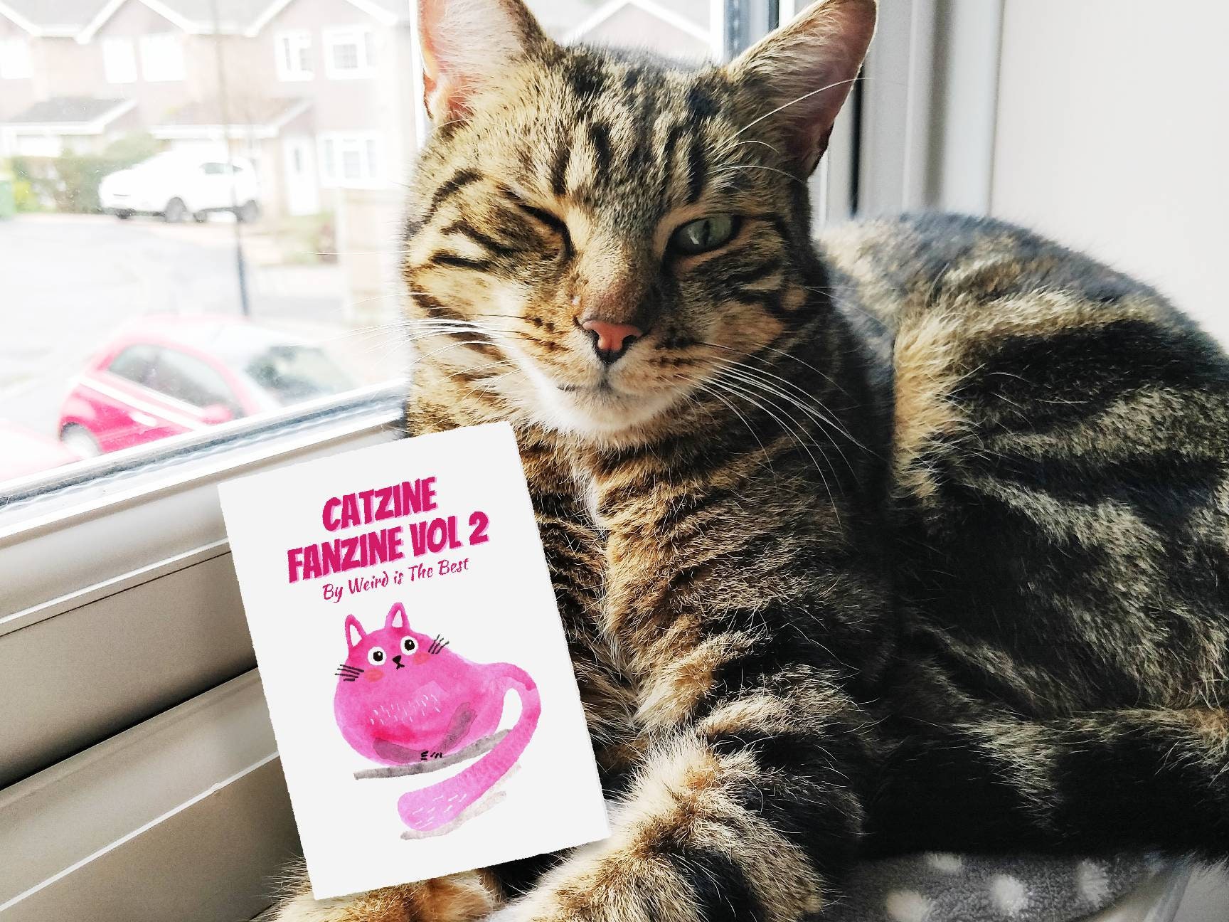 Catzine Fanzine A Fun Zine Full of Cats and Sass, Bundle of Meows - Etsy