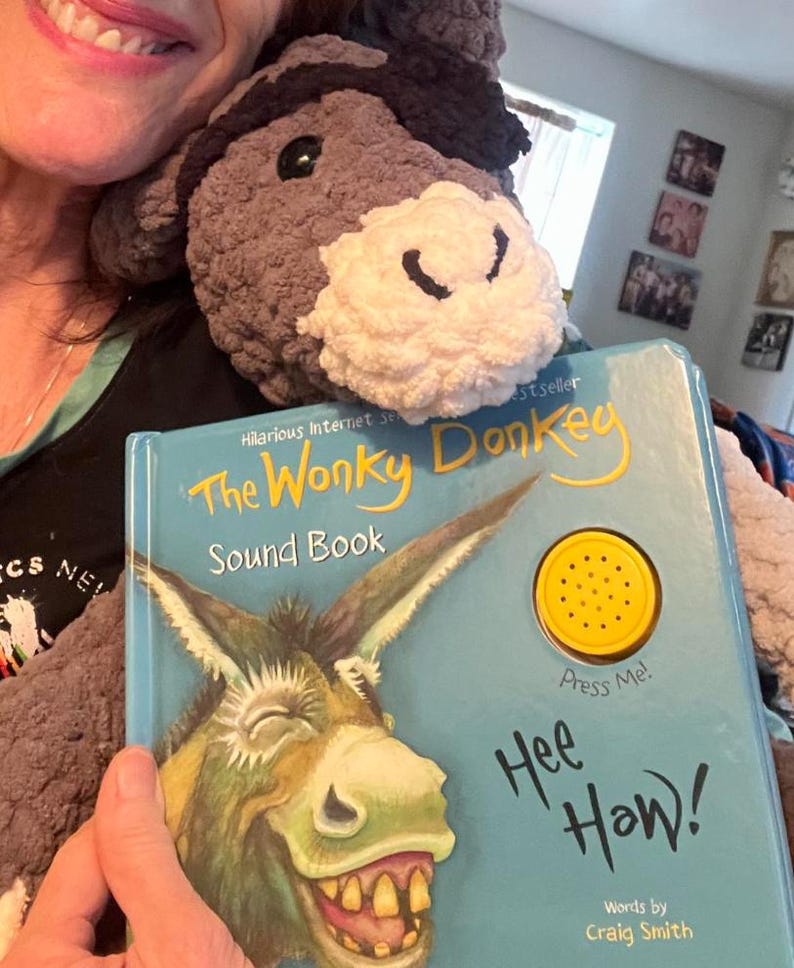 Wonky Donkey Plushie Crochet Pattern - Etsy