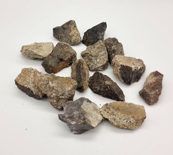 Triceratops Bone Fragment Dinosaur Fossil | Etsy