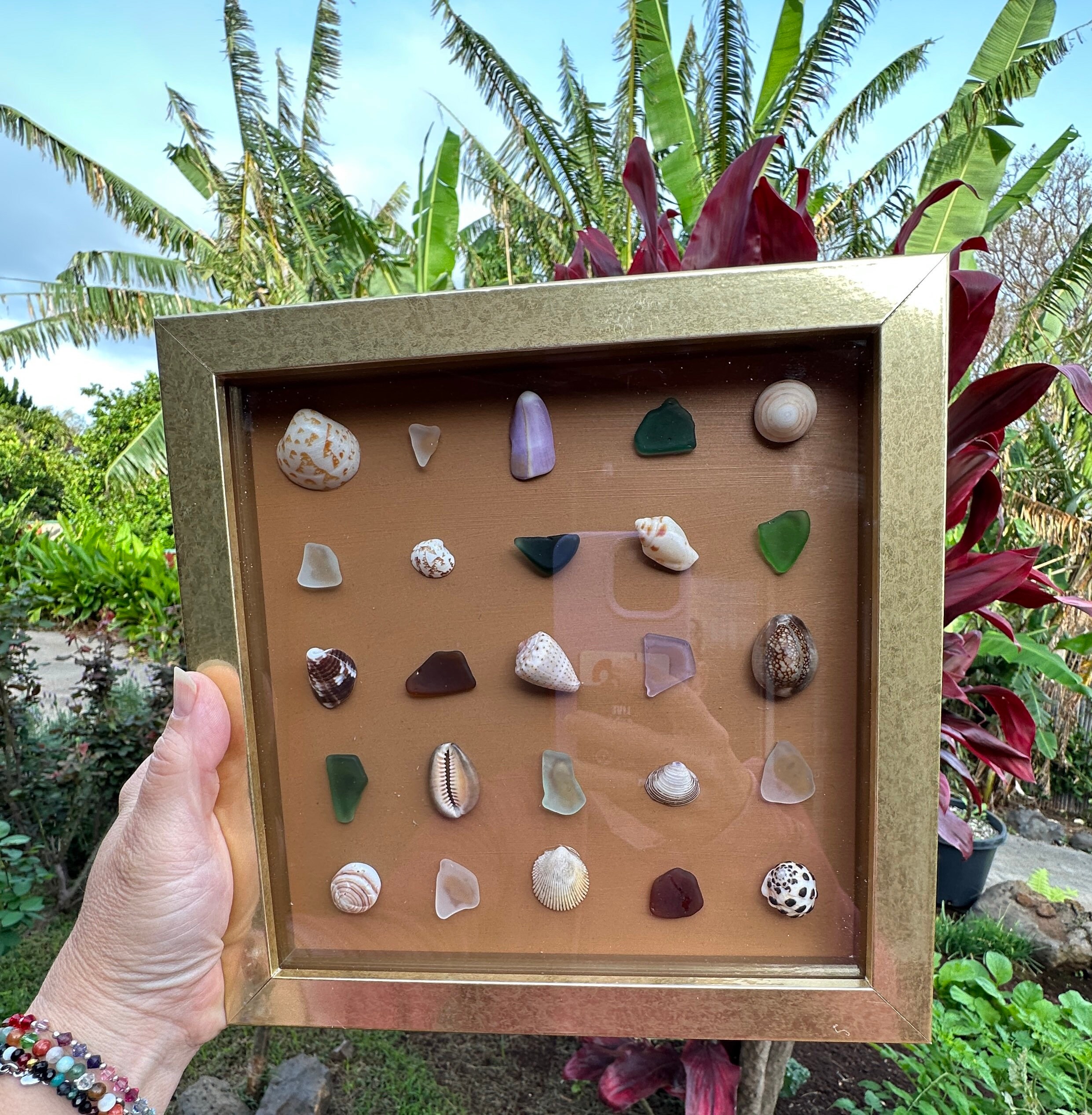 Maui Sea Shell Shadow Box, Sea Glass Shadow Box, Handmade on Maui ...