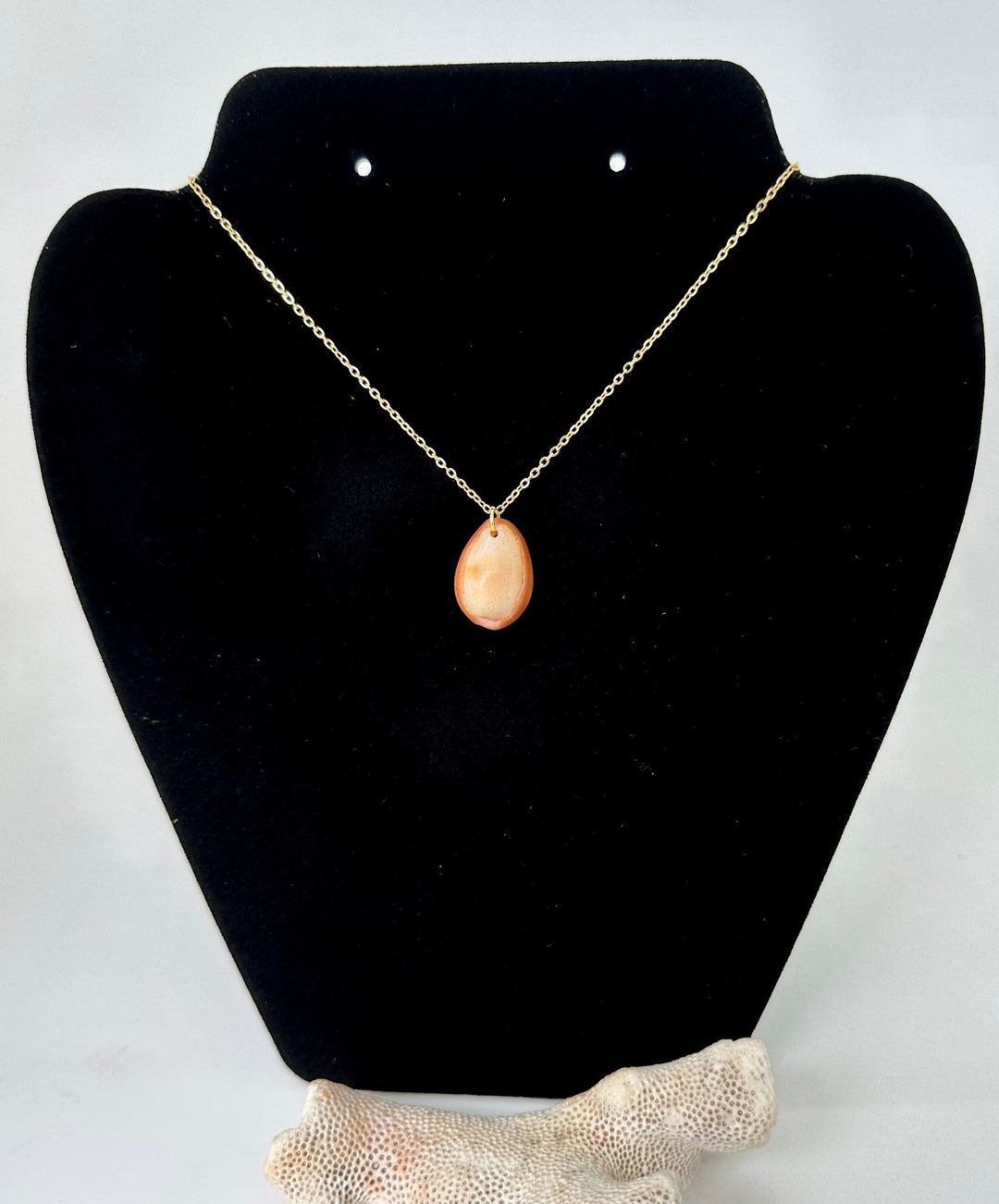 Cowrie Shell Necklace, Gold Plated Stainless Steel Chain ...