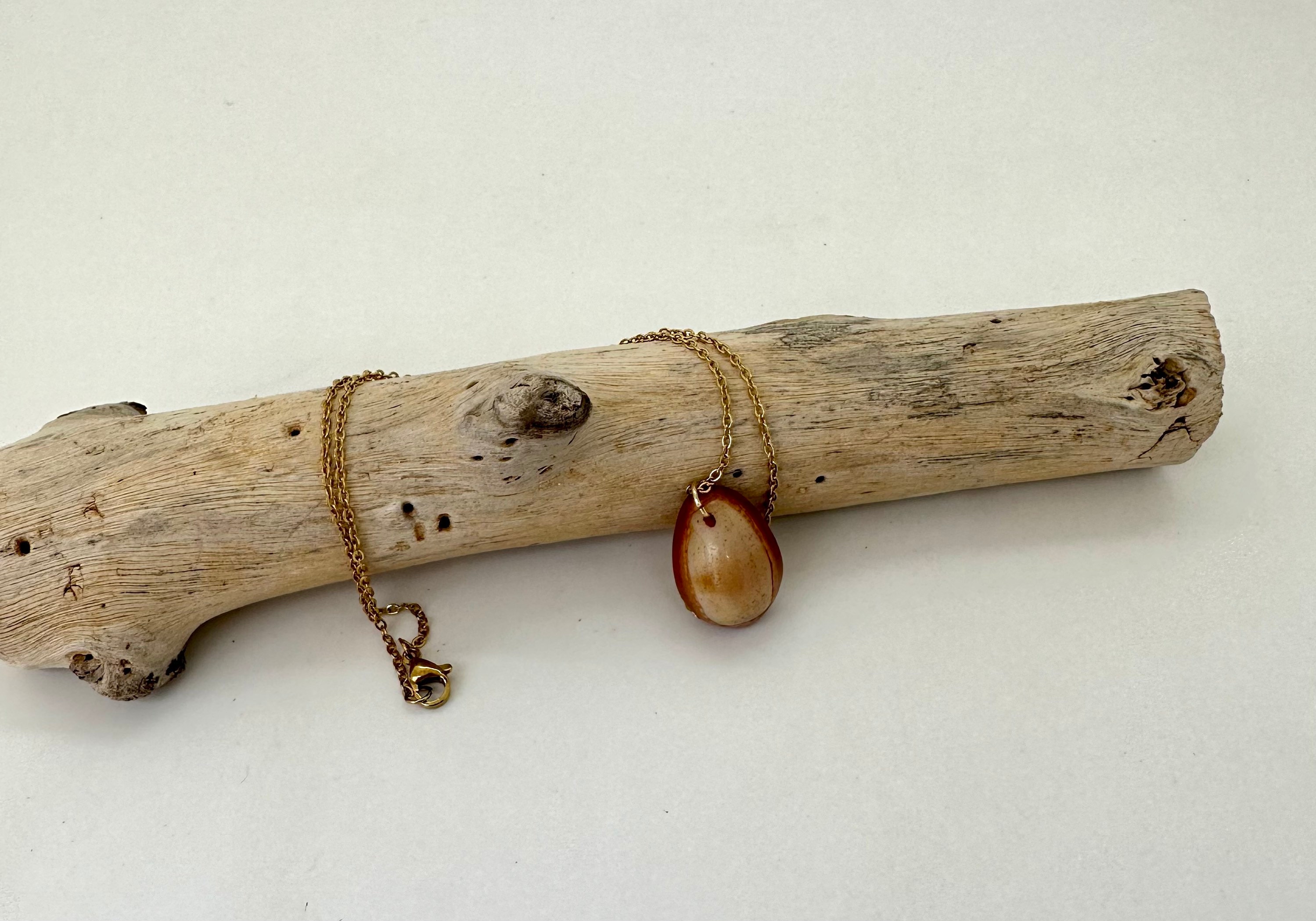 Cowrie Shell Necklace, Gold Plated Stainless Steel Chain ...