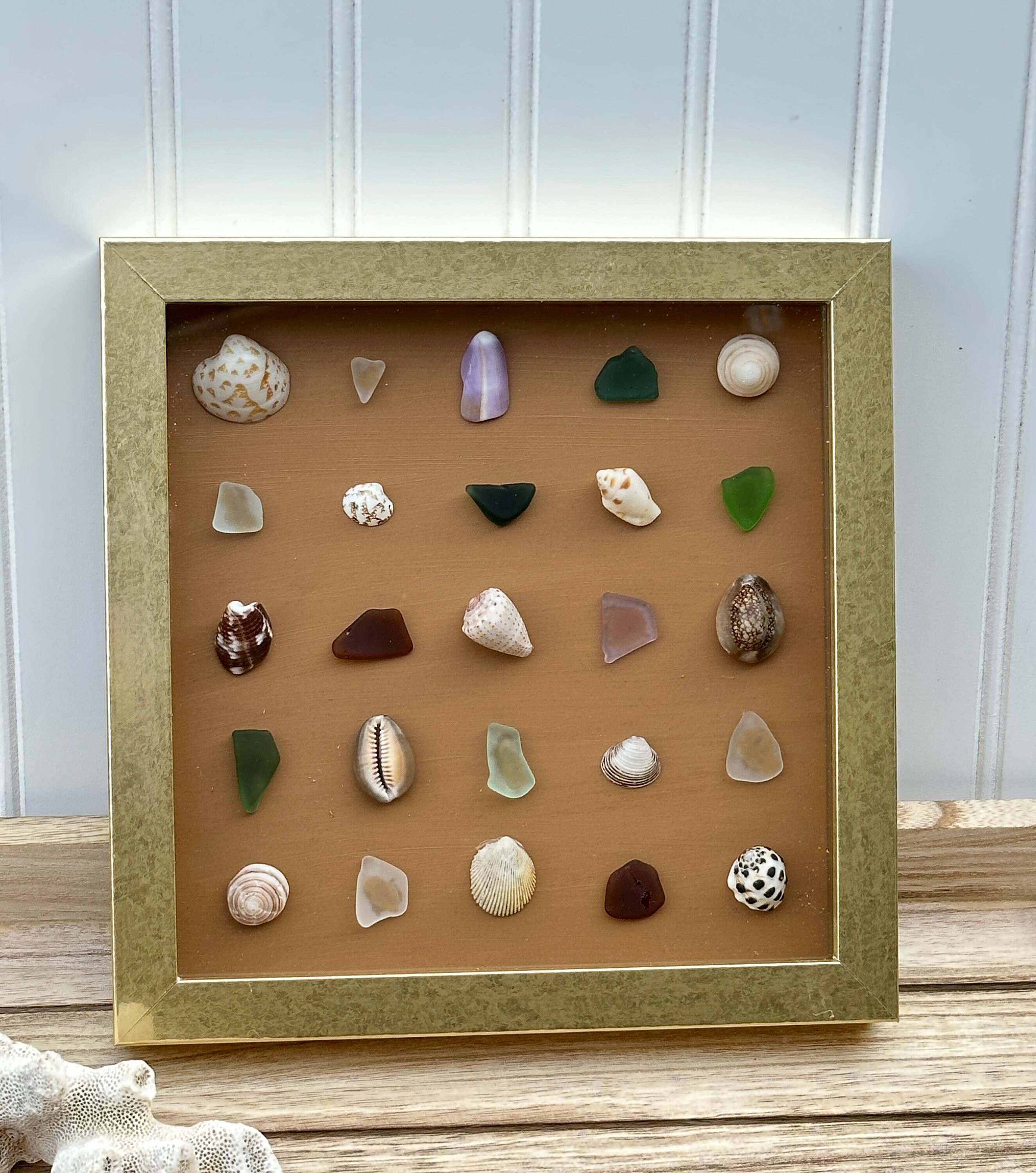Maui Sea Shell Shadow Box, Sea Glass Shadow Box, Handmade on Maui ...