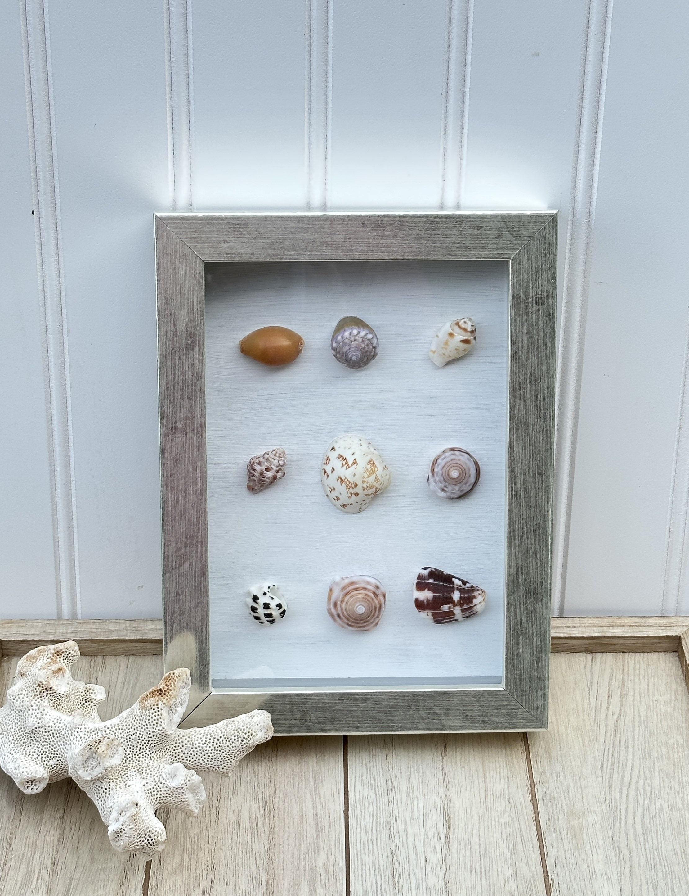 Sea Shell Shadow Box Handmade in Hawaii Genuine Sea Shells - Etsy