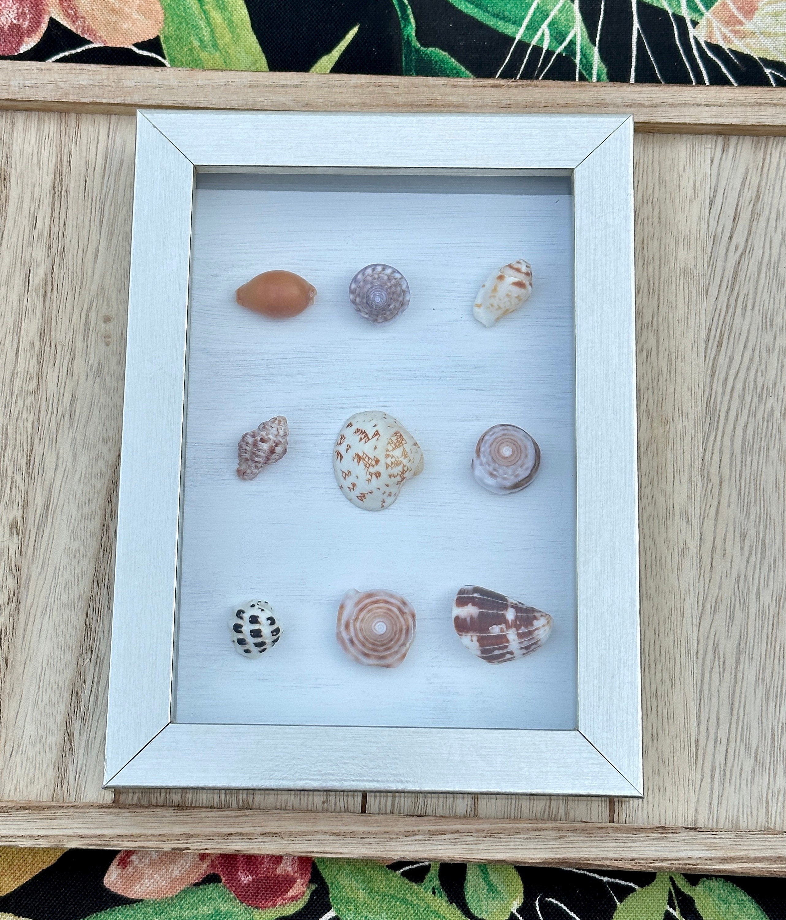 Sea Shell Shadow Box Handmade in Hawaii Genuine Sea Shells - Etsy