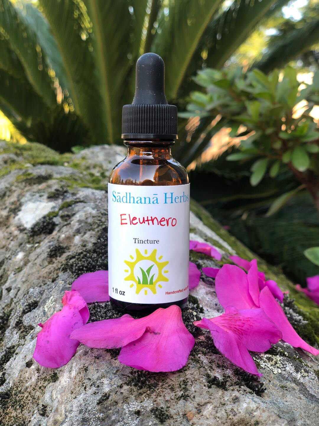 Eleuthero Root Tincture Eleuthero Adaptogen Herbal Extract - Etsy