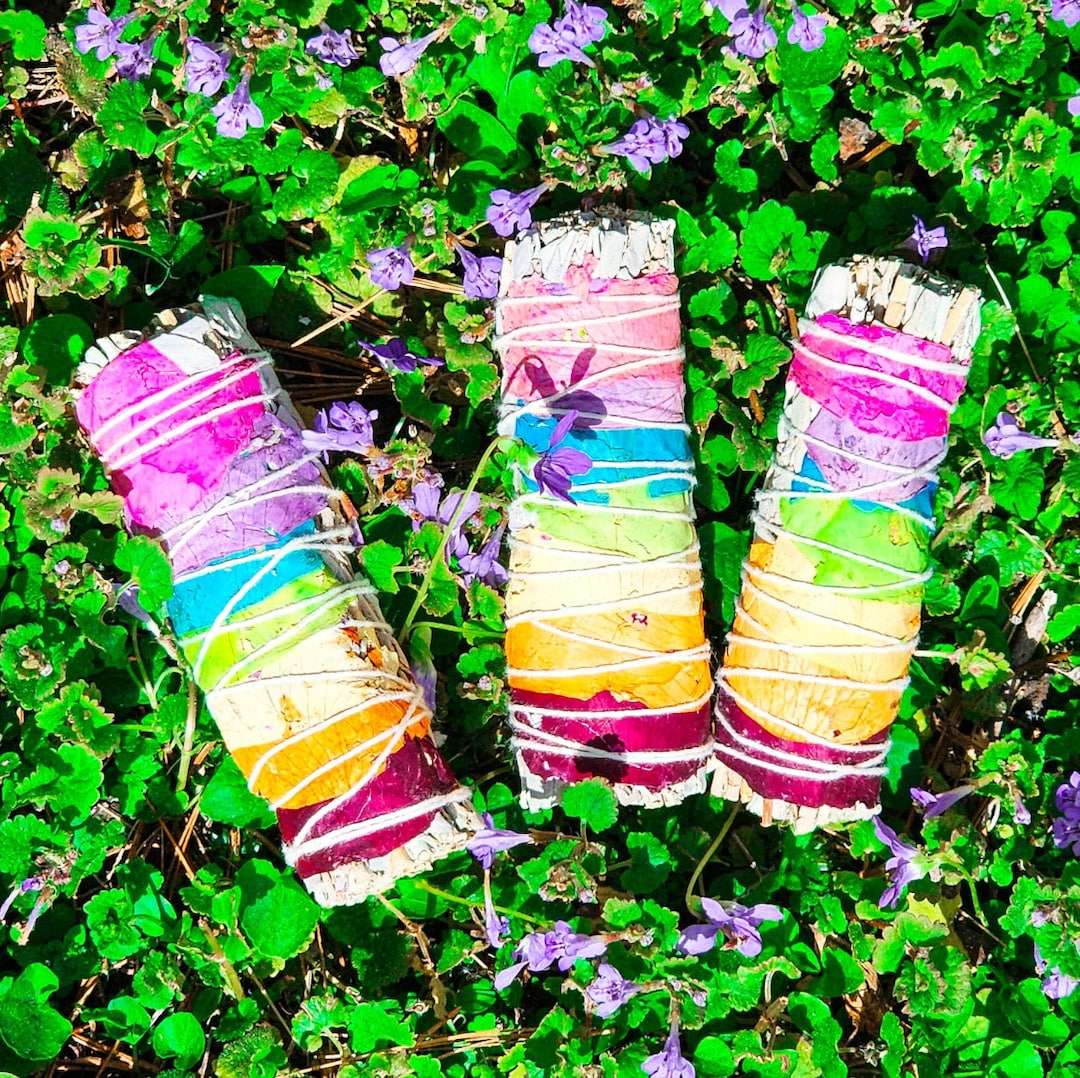 Chakra Clearing Sage Bundle Rainbow Sage Energy Clearing - Etsy