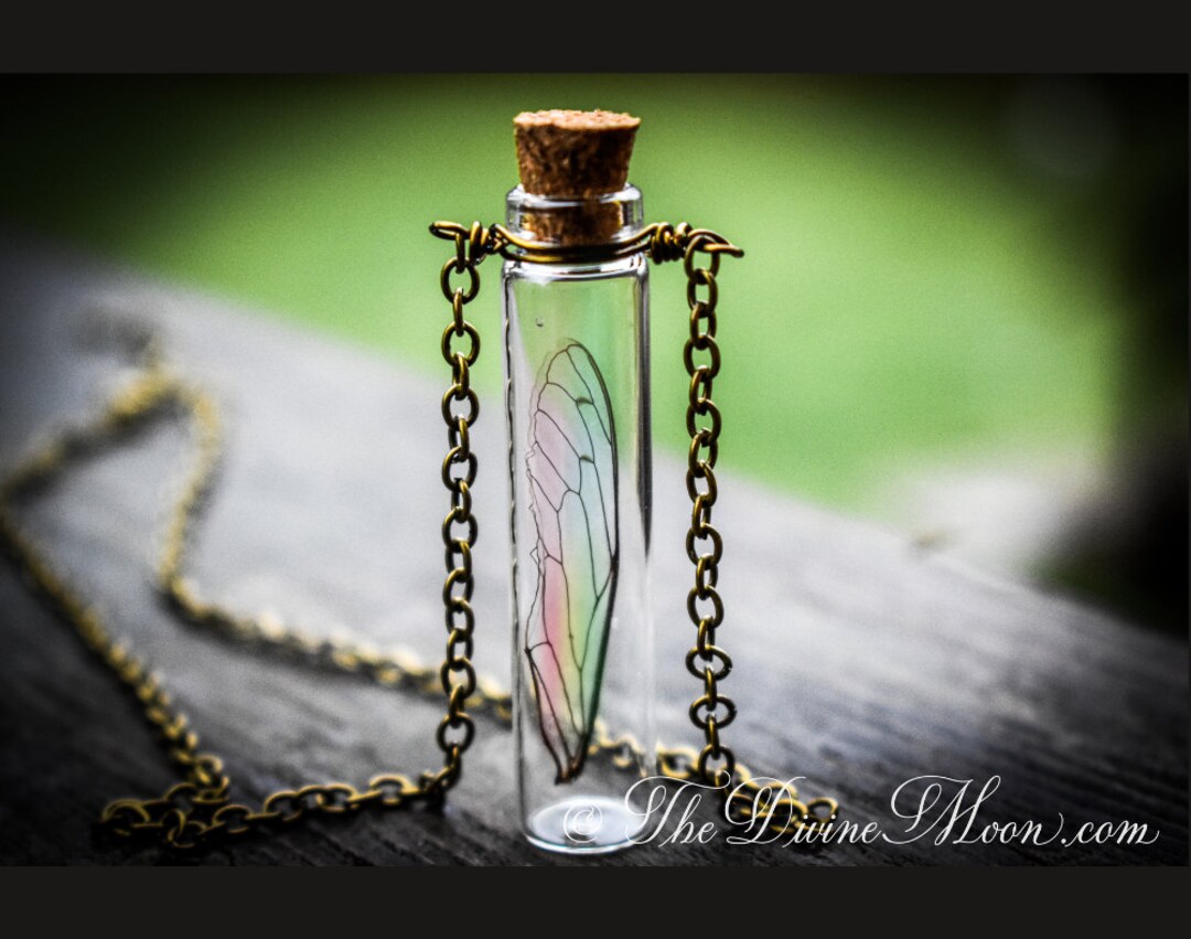 Real Fae Fairy Wing in a Jar Cottage Core Fae Decor Accents - Etsy
