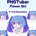 Cute Flower Magical Girl Premade Vtuber or Pngtuber Model Streaming ...