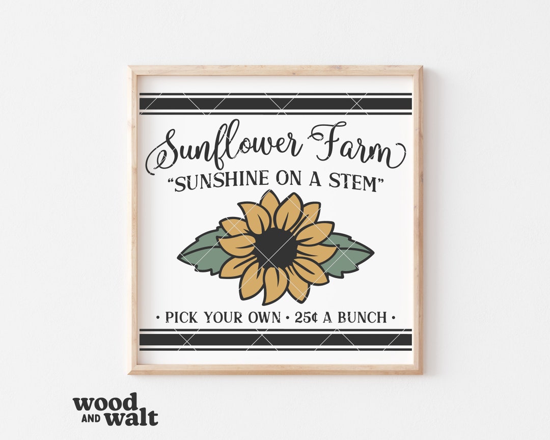 Sunflower Farm SVG PNG | Summer Sign SVG | Garden Sign Svg | Flower ...