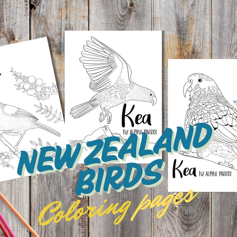 The People of New Zealand - Etsy