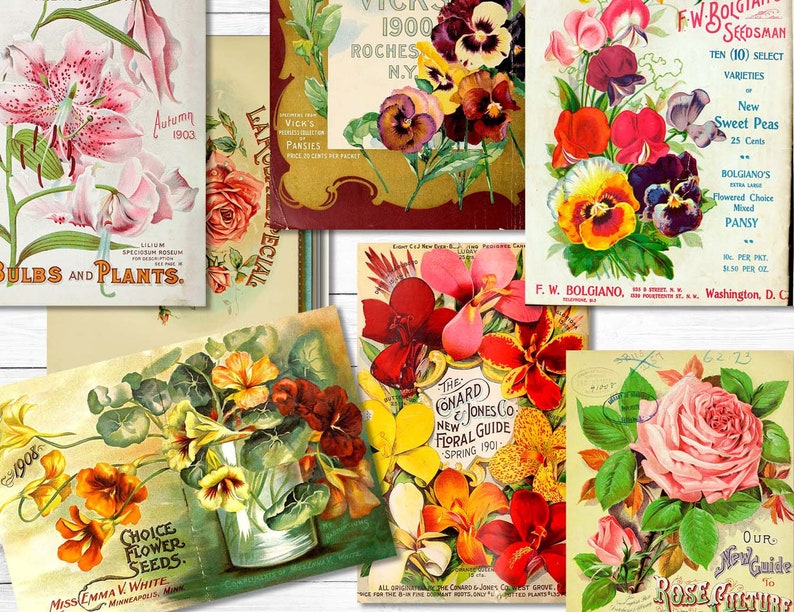 Vintage Flower Ephemera: Floral Clipart, Junk Journal (50 PNG Files) - Etsy