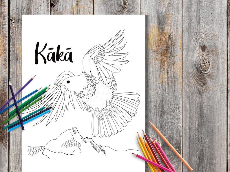 New Zealand Birds Coloring Pages: Hand-drawn Native Designs (digital ...